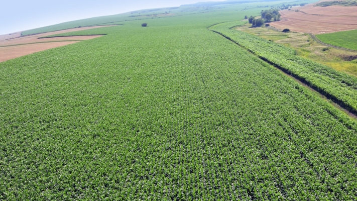 MII DE HECTARE DE TEREN AGRICOL DE PE VALEA PRUTULUI AU AJUNS PE MÂNA ...